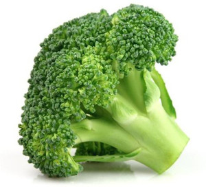WILLVINE ™Broccoli Vegetable Gardening Seeds Pack Seed Price in India ...