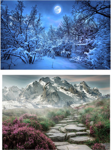 Nature Poster|Mountain And Snowy Trees Beautiful Scenery Poster For ...