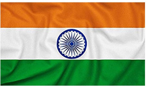 UNIQ India Rectangle Outdoor Flag Price in India - Buy UNIQ India ...