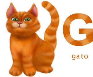 alphabet g for gato |poster for kids|alphabest posters|number posters ...