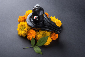 Shivling Poster |God Poster for Room|Religious Poster|Poster for any ...