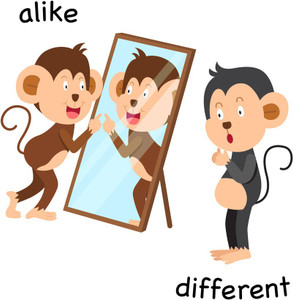 difference between alike and difference |poster for kids|alphabest ...