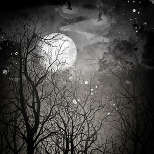 moon in dark |moon quotes|wall poster|romantic poster|moon poster ...