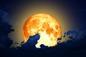 full worm moon back Sticker Poster|Night Moon Poster| Paper Print ...