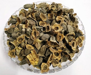 Nature Green BAY KHUMBA, BAIKHUMBA, BAIKUMBA, CAREYA ARBOREA Seed Price ...