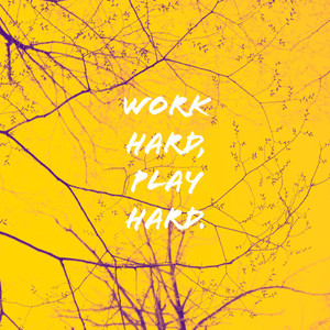 work hard play hard |Motivational Poster|Inspirational Poster|Gym ...