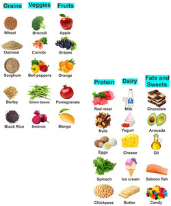 HAPPYSTICKY 70 cm Daily Food Charts Large Vinyl Wallsticker(100 cm x 80 ...