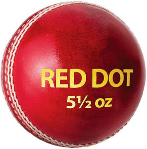 DSC Red dot Cricket Leather Ball - Buy DSC Red dot Cricket Leather Ball ...
