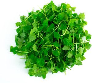 Airex Marigold (Green Gem Leaf) Microgreen Seeds - Pack Of AVG 30 - 50 ...