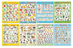 Navneet Navneet Big Wall Charts: Buy Navneet Navneet Big Wall Charts by ...