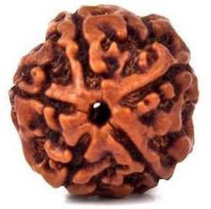 RUDRAKSH 5 Mukhi Rudraksh 5 faced Rudraksha (Brown) Wood Price in India ...