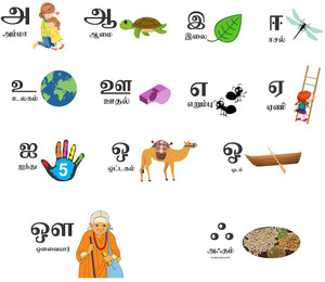 Wolbas 57 cm Tamil Letters kids learning wallsticker Self Adhesive ...