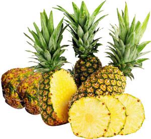 Nema Pineapple Fruit seeds -100pcs Seed Price in India - Buy Nema ...
