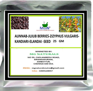 MGBN JUJUBE-INDIAN DATE-(ZIZIPHUS JUJUBA) SEED - 25 GM Seed Price in ...