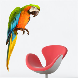 StickMe 100 cm Awesome Parrot Bird Wall Sticker - SM 350 Self Adhesive ...