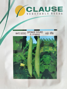 clause SPONGE GOURD F1 HYBRID, 10GM Seed Price in India - Buy clause ...