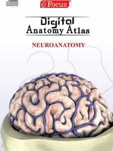 Focus Medica Neuroanatomy - Focus Medica : Flipkart.com