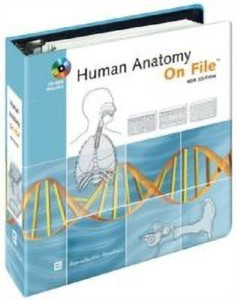 Human Anatomy on File: Buy Human Anatomy on File by Group The Diagram ...