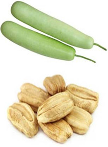 Greenerry Loki Seeds( 60 Seeds ) Seed Price in India - Buy Greenerry ...