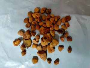 Green India Adansonia Digitata Seeds / kalpvriksh Seeds /baobab plant ...