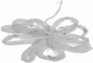 PMW Lakshmi Tamara Vattulu - Lotus Wicks - 5 Wicks - Swathi Herbals ...