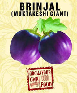 Trothic Gardens Brinjal Muktakeshi Giant Seeds Seed Price in India ...