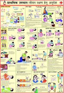 First Aid Chart - Hindi Photographic Paper - Educational posters in ...