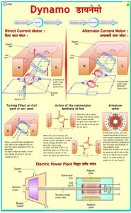 Physics Charts - Dynamo Photographic Paper - Educational posters in ...