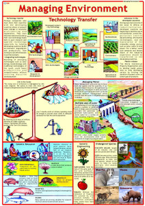 Environment Chart - Managing Environment Photographic Paper ...