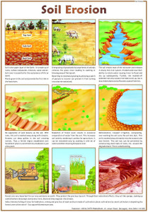 Environment Chart - Soil Erosion Photographic Paper - Educational ...