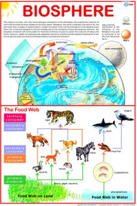 Environment Chart - Biosphere Photographic Paper - Educational posters ...