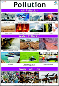 Pollution chart Photographic Paper - Educational posters in India - Buy ...