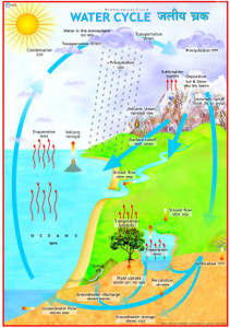 Environment Chart - Water Cycle Photographic Paper - Educational ...