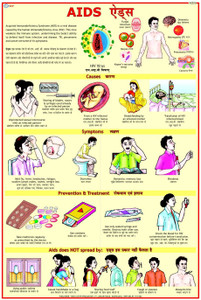 Aids Chart Photographic Paper - Educational posters in India - Buy art ...