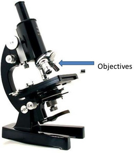 THE LABWORLD Compound student microscope for students and laboratory ...