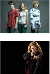 Hollywood Celebrity Poster Combo | Poster For Wall Decoration | Wall ...