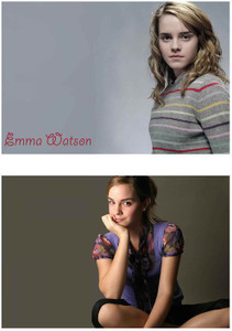 Hollywood Celebrity Poster Combo | Poster For Wall Decoration | Wall ...