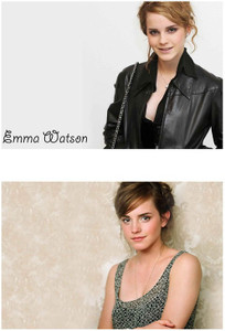 Hollywood Celebrity Poster Combo | Poster For Wall Decoration | Wall ...