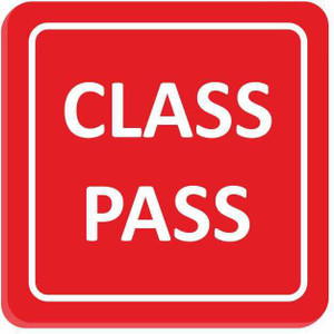 class pass Signs & Symbols Badge Price in India - Buy class pass Signs ...
