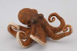 COLLECTA 88485 Octopus - 88485 Octopus . Buy Octopus toys in India ...