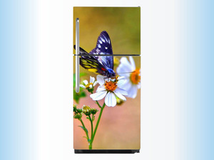 Design Zoo 61 cm Butterfly on Flower Fridge Sticker Self Adhesive ...