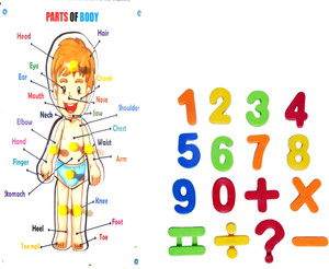 Vedy Wooden Parts of Body Boy Educational Puzzle Toy with Numbers for ...