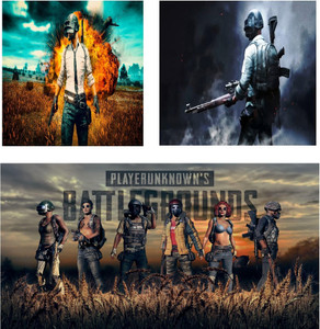 PUBG Battleground Plastic Posters size 13*19 inch High Quality Finish ...