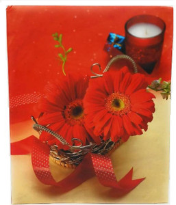 CSN - CUTE SHOPPING NETWORK Create & Design Natraj Series High Quality ...