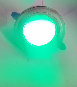 RPl Ceiling Light Ceiling Lamp Price in India - Buy RPl Ceiling Light ...