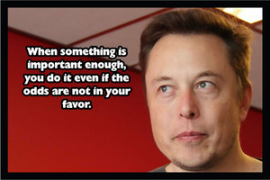 Elon Musk Poster with Frame F-31 Paper Print - Quotes & Motivation ...