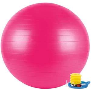 Fonicy Anti-burst Fitness Exercise Stability 65Cm Gym Ball Price in ...