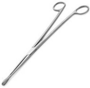 Forgesy Ovum Forcep Large Cup Straight(Pack Of 1)548 Fragment Forceps ...