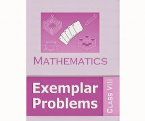 Ncert Mathematics Exemplar For Class Viii: Buy Ncert Mathematics ...