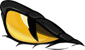 Solo Sticker & Decal for Car & Bike Price in India - Buy Solo Sticker ...